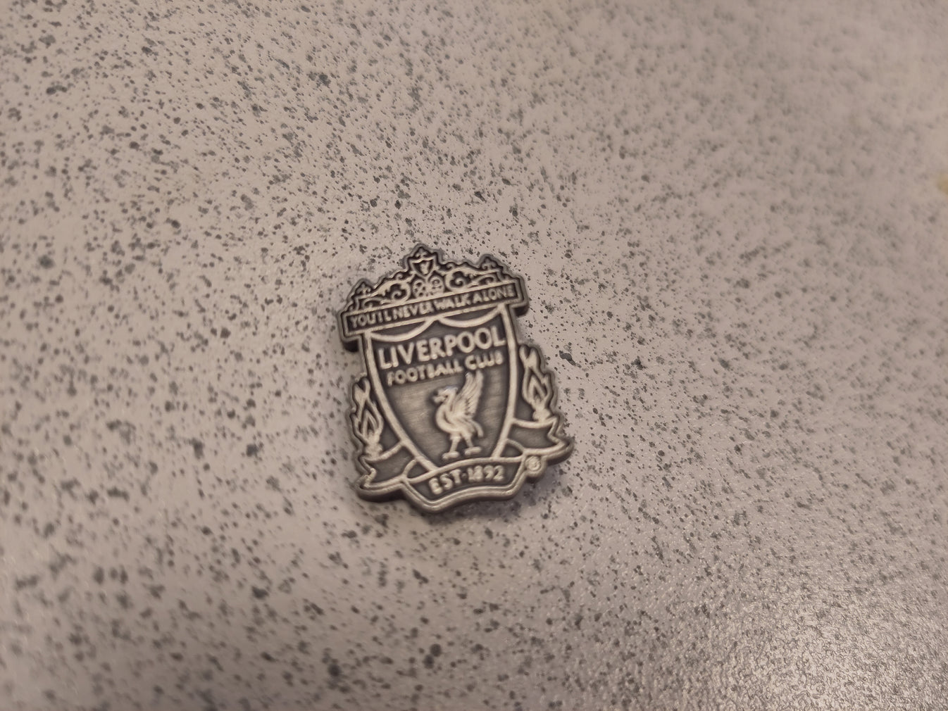 PINS: Liverpool v5 – Forza Hamar